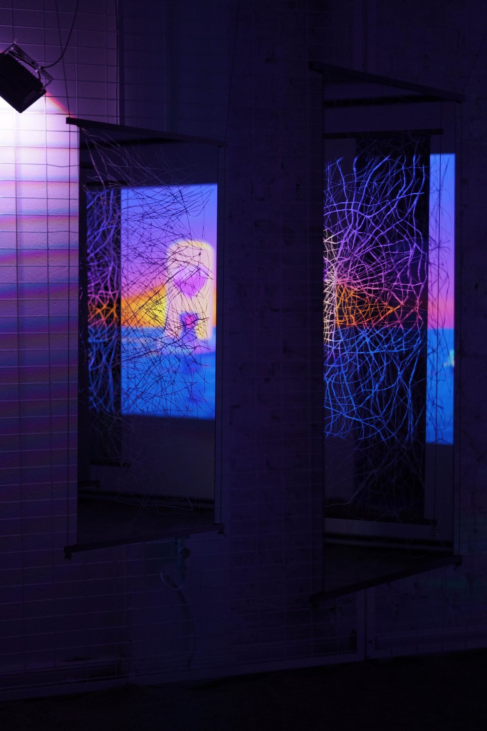 THE HYBRID NATURE OF MY DOPPELGANGERS - The Eye Altering